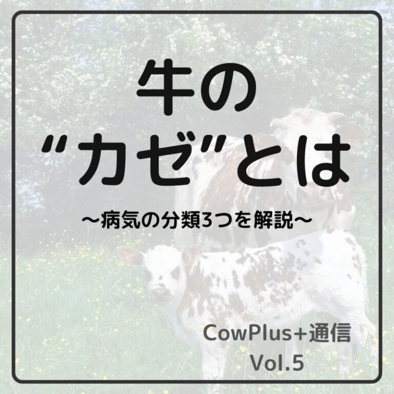 子牛の発熱フローチャート | CowPlus+