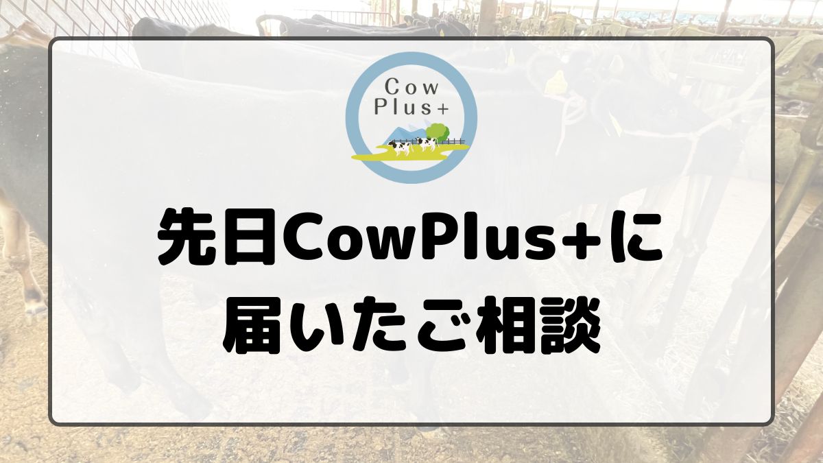少しでも高く！子牛セリ市出荷の前にできること | CowPlus+