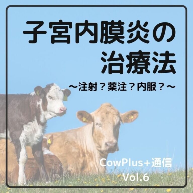 子宮内膜炎の治療法～2つのアプローチを解説～ | CowPlus+
