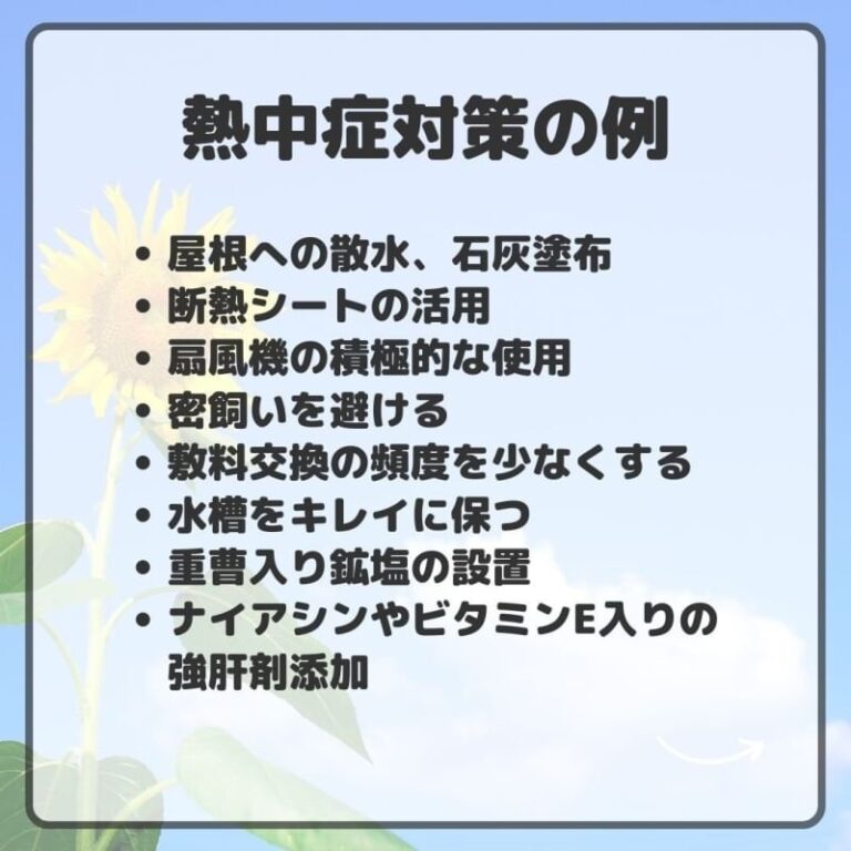 牛の熱中症と応急処置について | CowPlus+