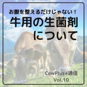 【生菌剤の基本】プロバイオティクスとプレバイオティクスの違いとは？ | CowPlus+