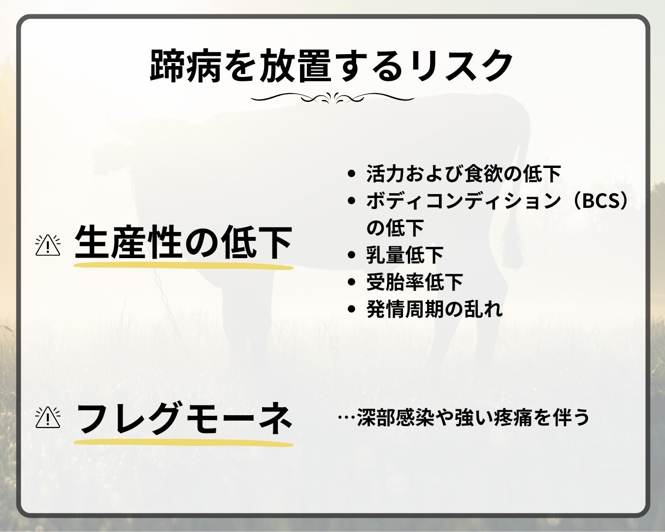 蹄病の応急処置と治療のポイント | CowPlus+