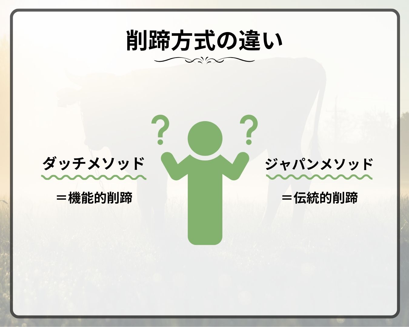 蹄病の応急処置と治療のポイント | CowPlus+