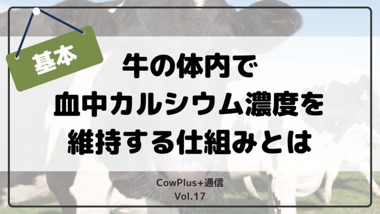 【生菌剤の基本】プロバイオティクスとプレバイオティクスの違いとは？ | CowPlus+